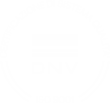 D5096S GMI Relay for a safety strategy based on-line monitoring